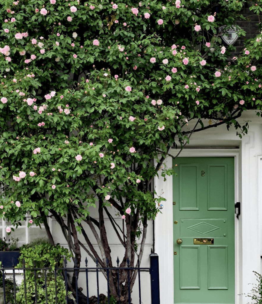 The Best Front Door Paint Colors for Homes with Personality - The ...